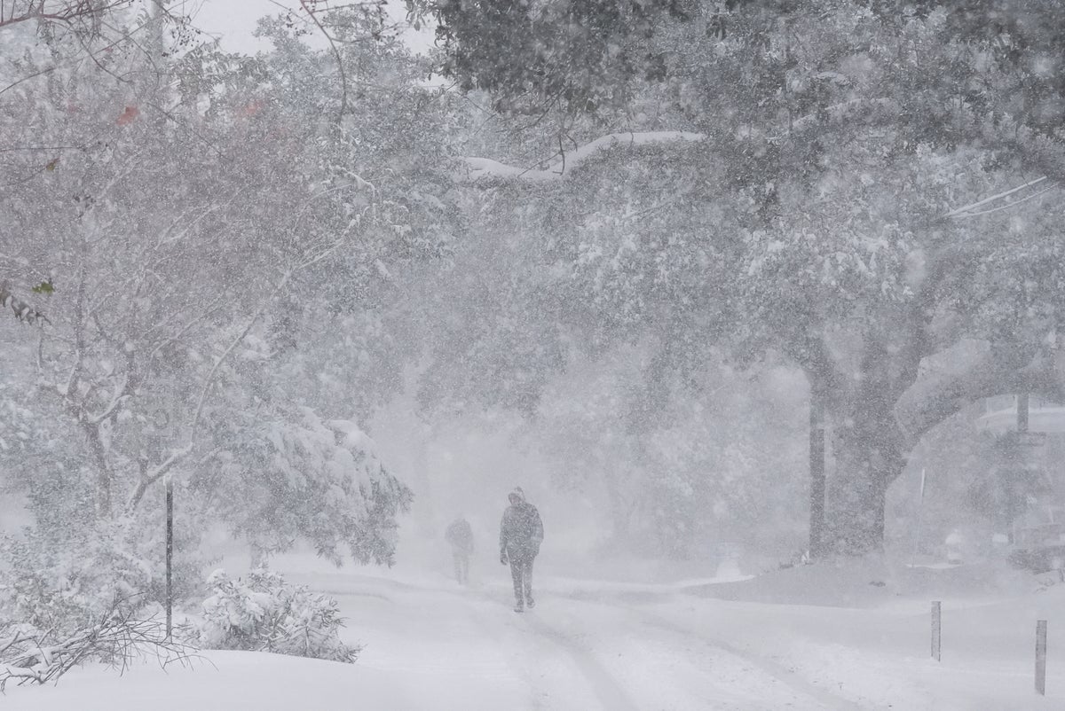 Extreme cold and snow across the South isn't a threat to most native ...