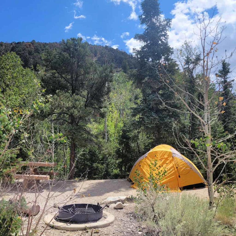 Great Basin National Park Camping Guide
