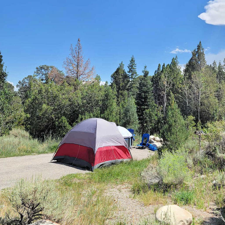 Great Basin National Park Camping Guide