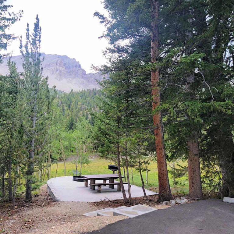 Great Basin National Park Camping Guide