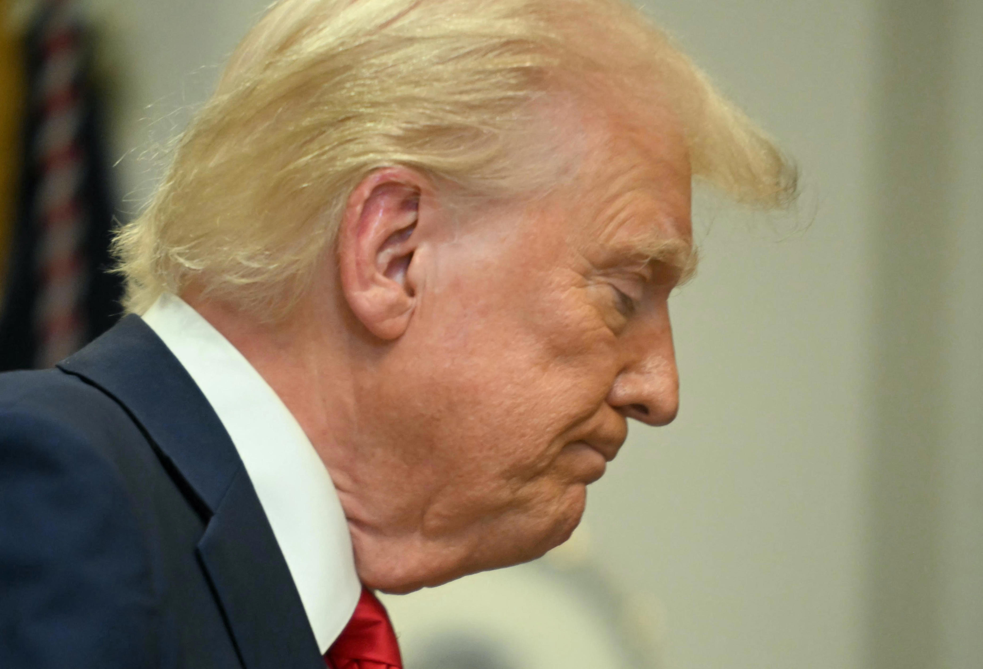 Why President Donald Trump signed an executive order banning government ... Why President Donald Trump signed an executive order banning government ...
