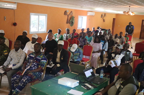 Ogooué-Ivindo/ Pour une apiculture durable et respectueuse de l ...