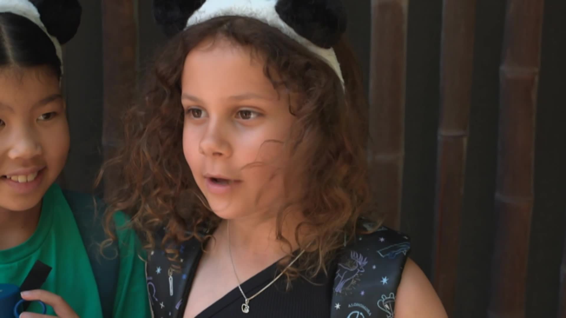 Pair of giant pandas settle into their new home at Adelaide Zoo