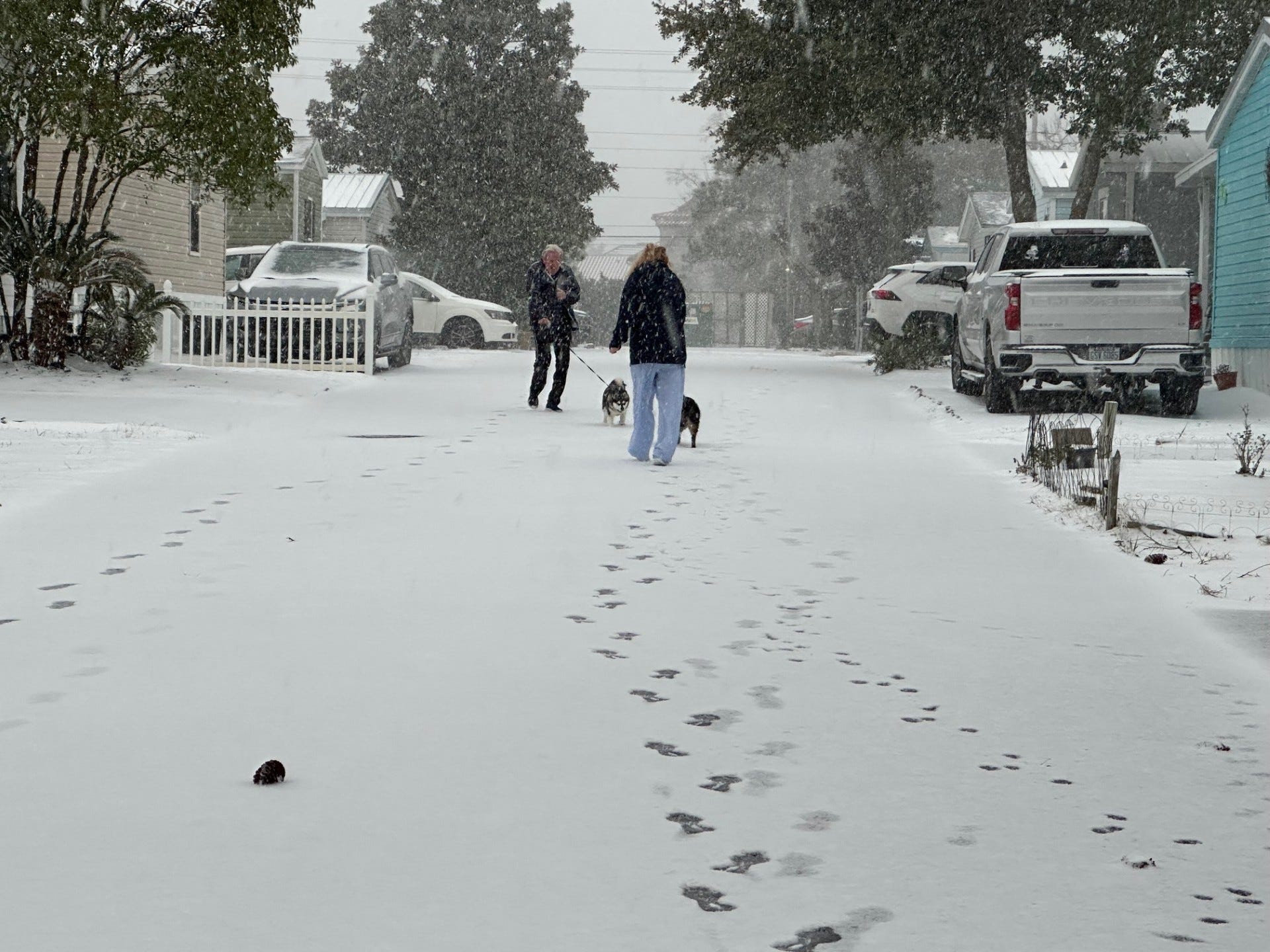 How much snow did the South get? See snowfall totals for Florida ...