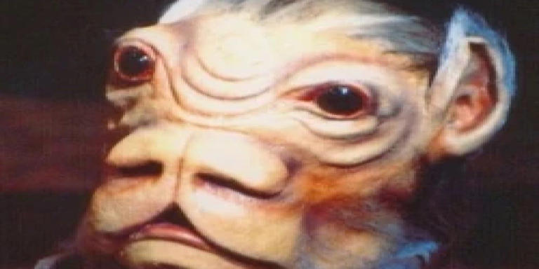 Every Star Wars Species Introduced In The Mos Eisley Cantina Explained