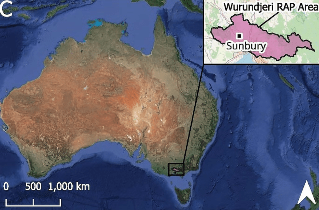 Origin of Australia’s 1,400-year-old earth rings finally revealed