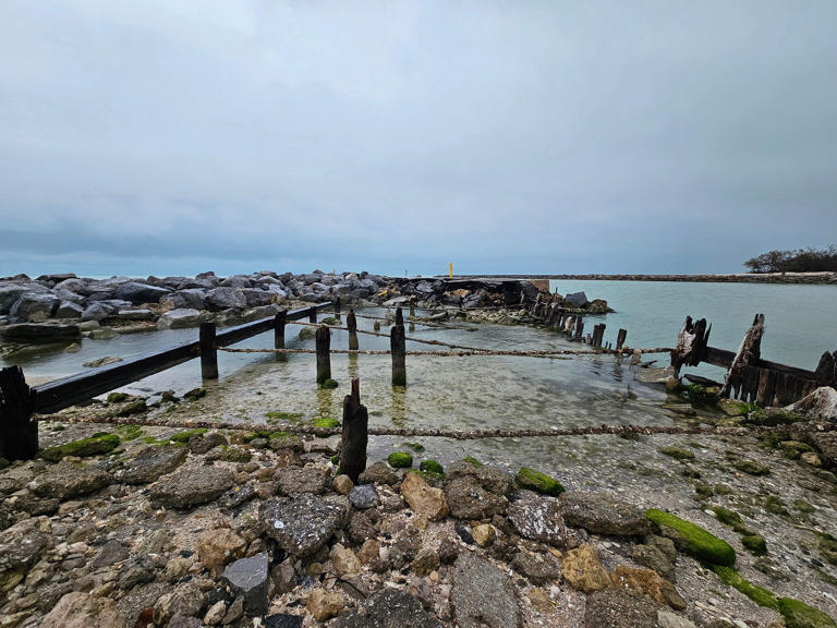 Contractor removes Jetty Jack's from Venice waterfront park, which is ...