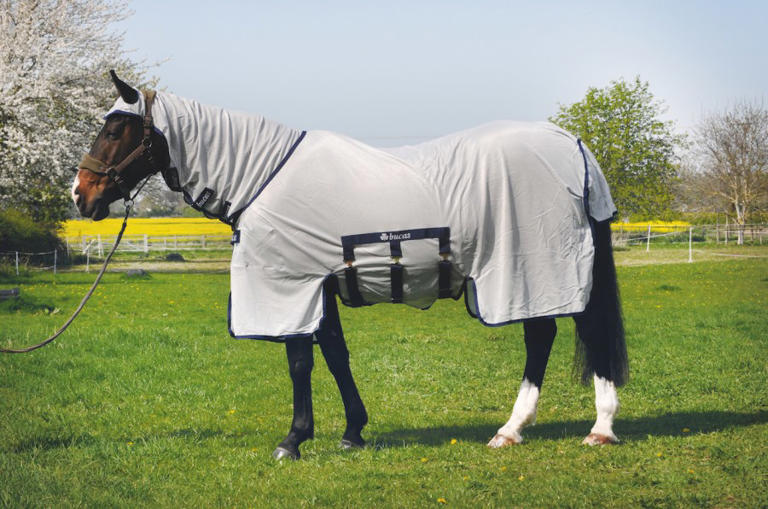 Best fly rugs for horses as tested by our team of riders