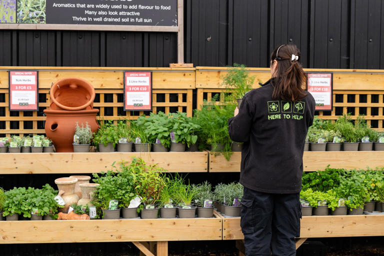 Local garden centre opens fourth location in the South Downs