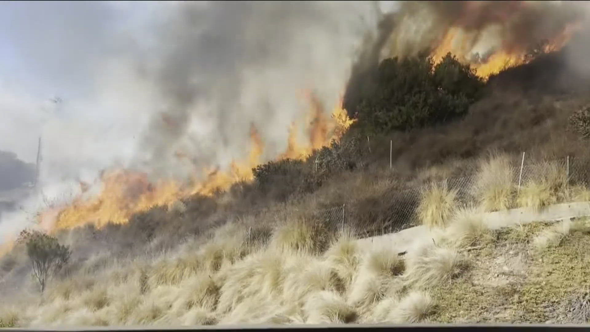 San Diego fire crews battle Friars Fire swiftly