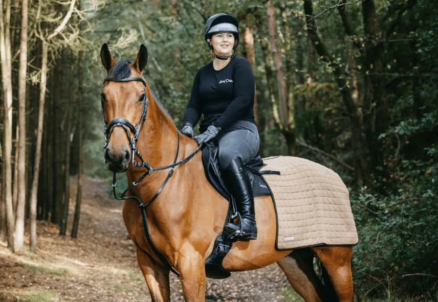 Best exercise sheets for horses as rated by our testing team