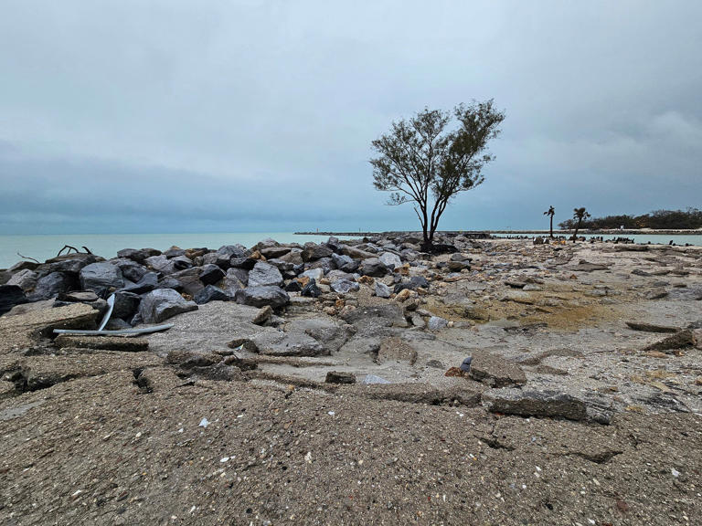 Contractor removes Jetty Jack's from Venice waterfront park, which is ...