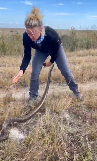 Python Q&A: Huntress shares her No. 1 lesson learned from wrangling the ...