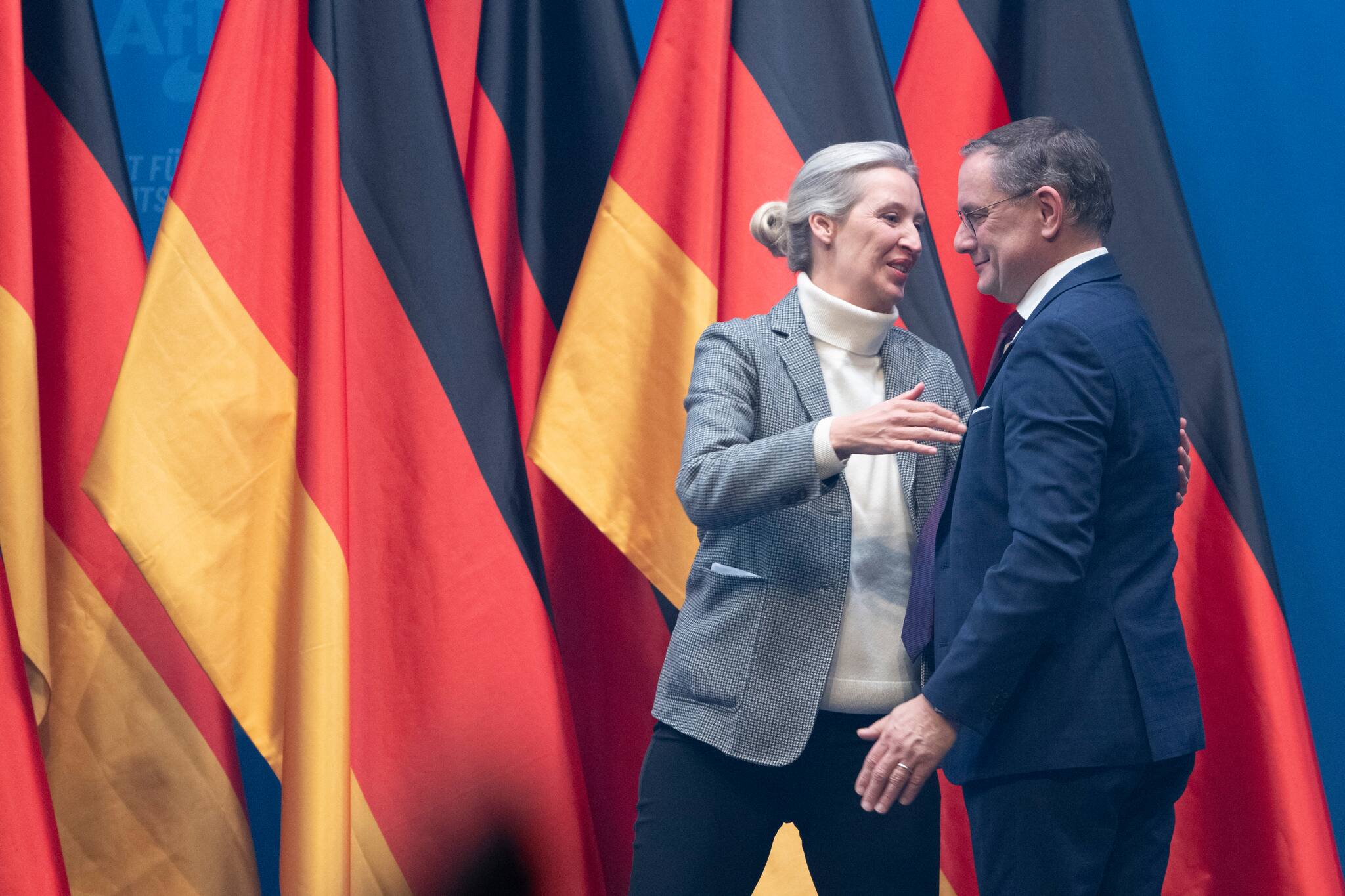 AfD-Wahlprogramm 2025 als Zusammenfassung: Die wichtigsten Punkte