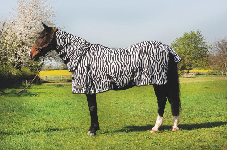 Best fly rugs for horses as tested by our team of riders