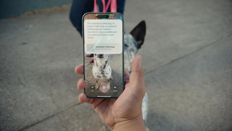 Ios 183 Key Upgrades And Bug Fixes For Visual Intelligence Apple Music And More 4456
