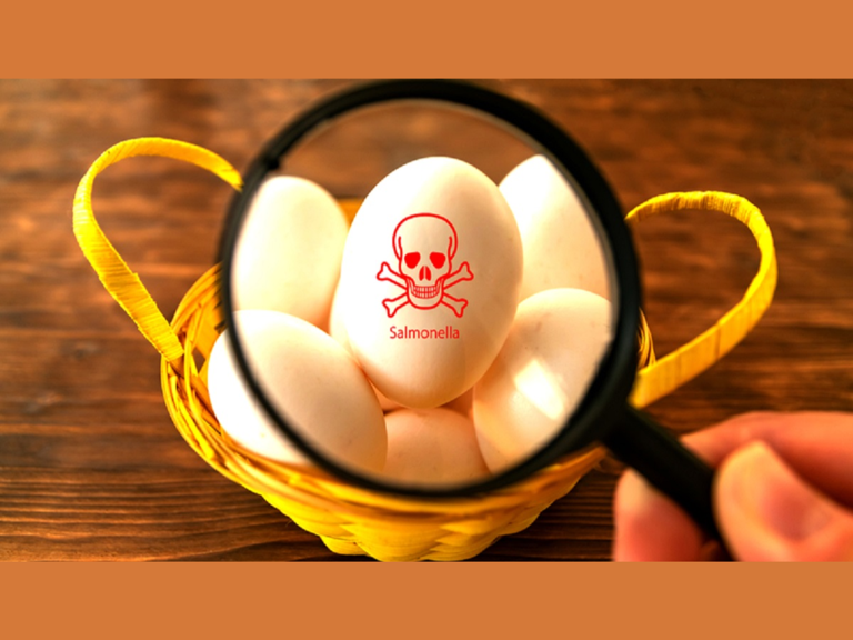 Salmonella outbreak hits Canada: 61 sick, 17 hospitalised, cases linked ...