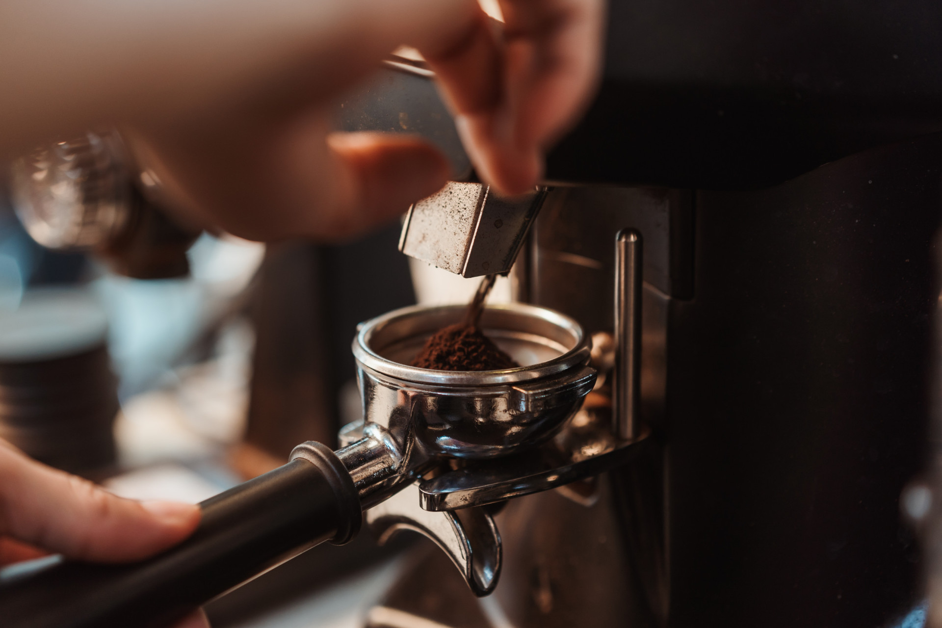 Is it possible to grow your own coffee?