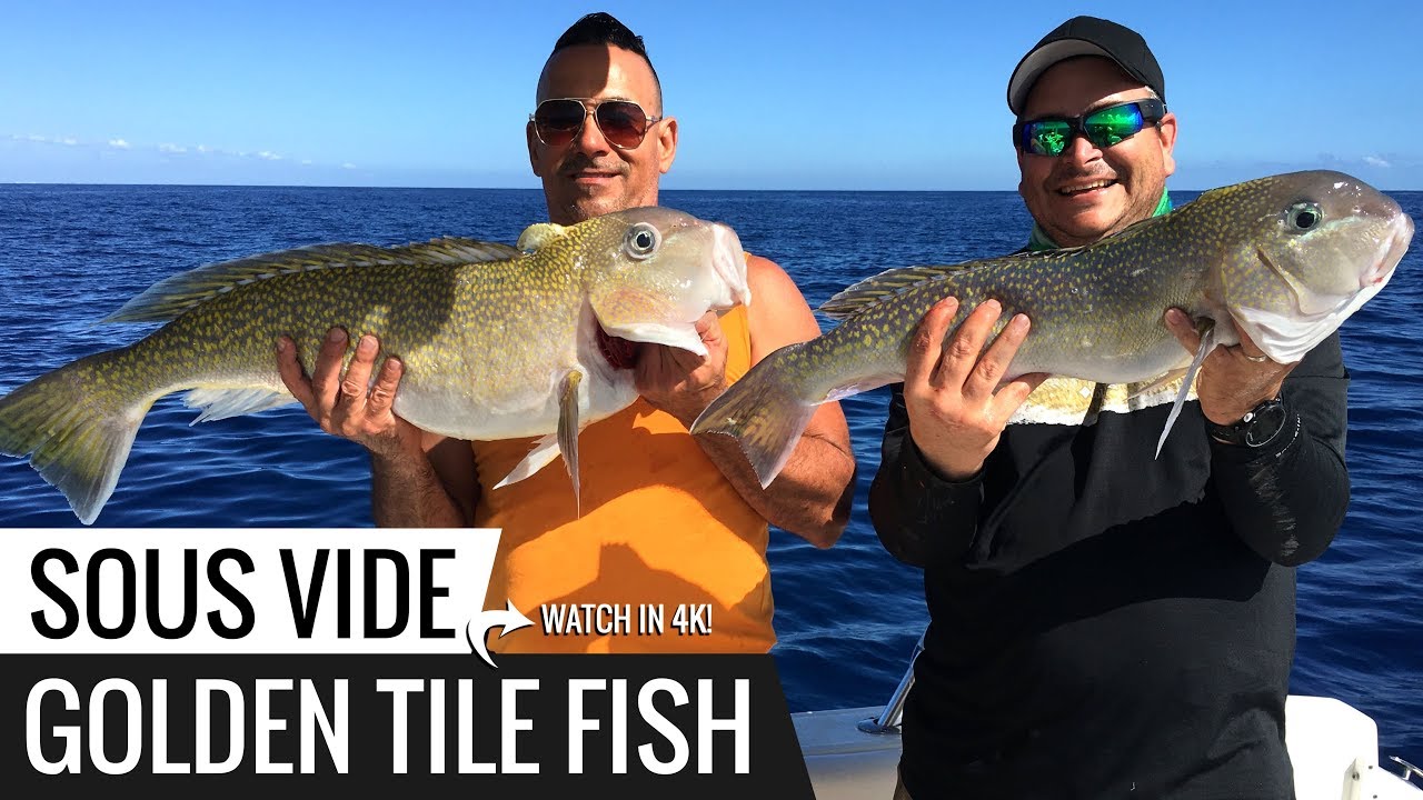 Sous vide golden tile fish recipe! Ninja's catch n cook