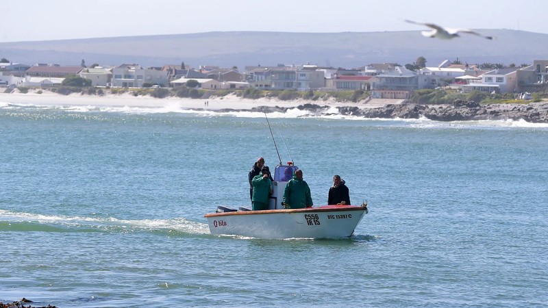 Small-scale fishers question 36% increase in 'own use' fish allocation