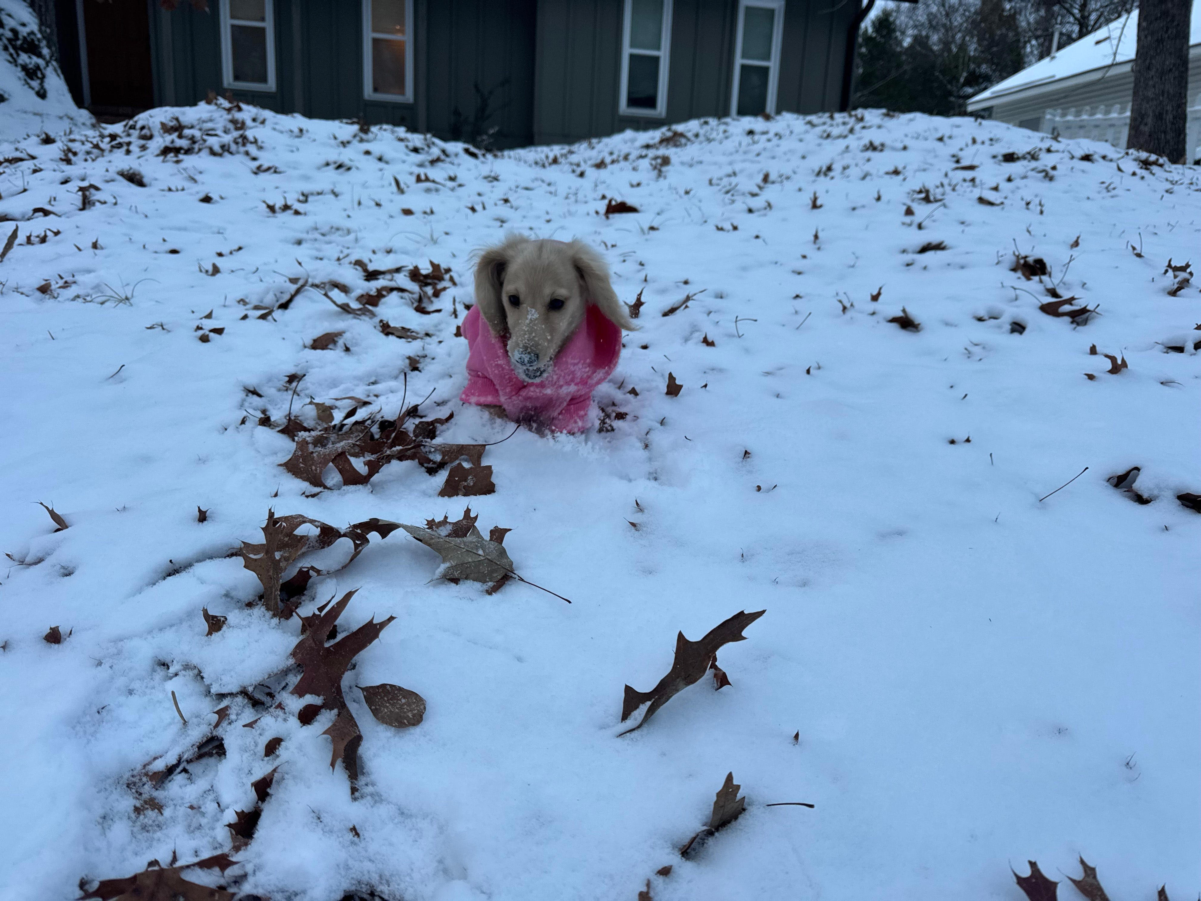 Winter weather: The snow storm is gone, but cold weather persists Wednesday