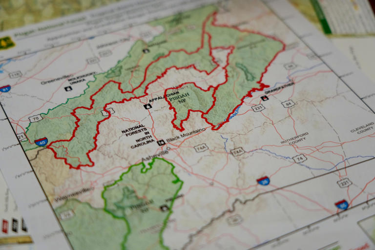 Where to hike post-Helene: Pisgah National Forest opens 64 trails ...