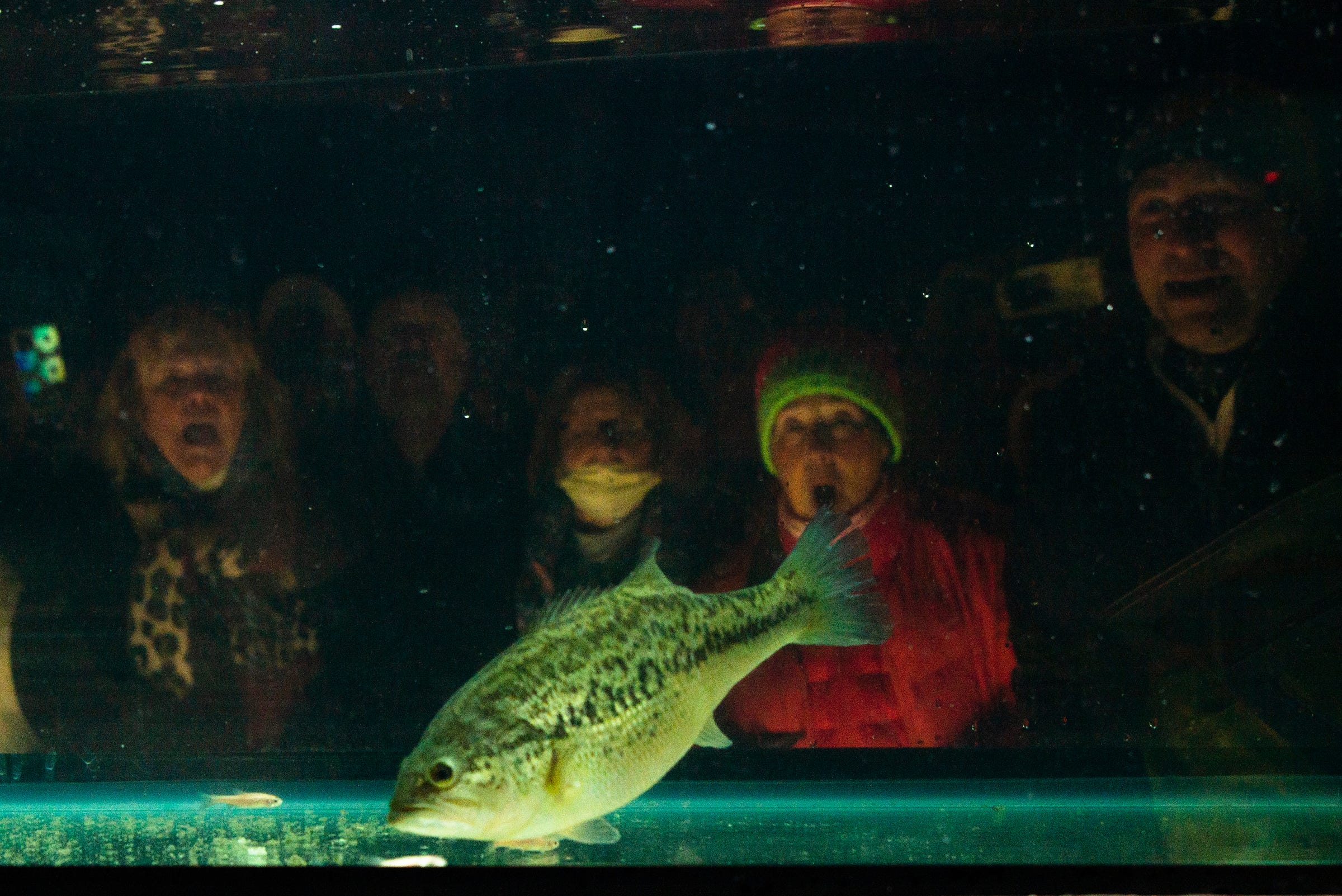 Buckeye Chuck isn't Ohio's only weather-predicting animal