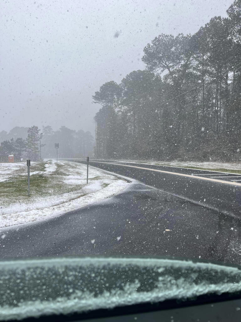Snow in Florida! Winter storm blankets northern sunshine state with snow
