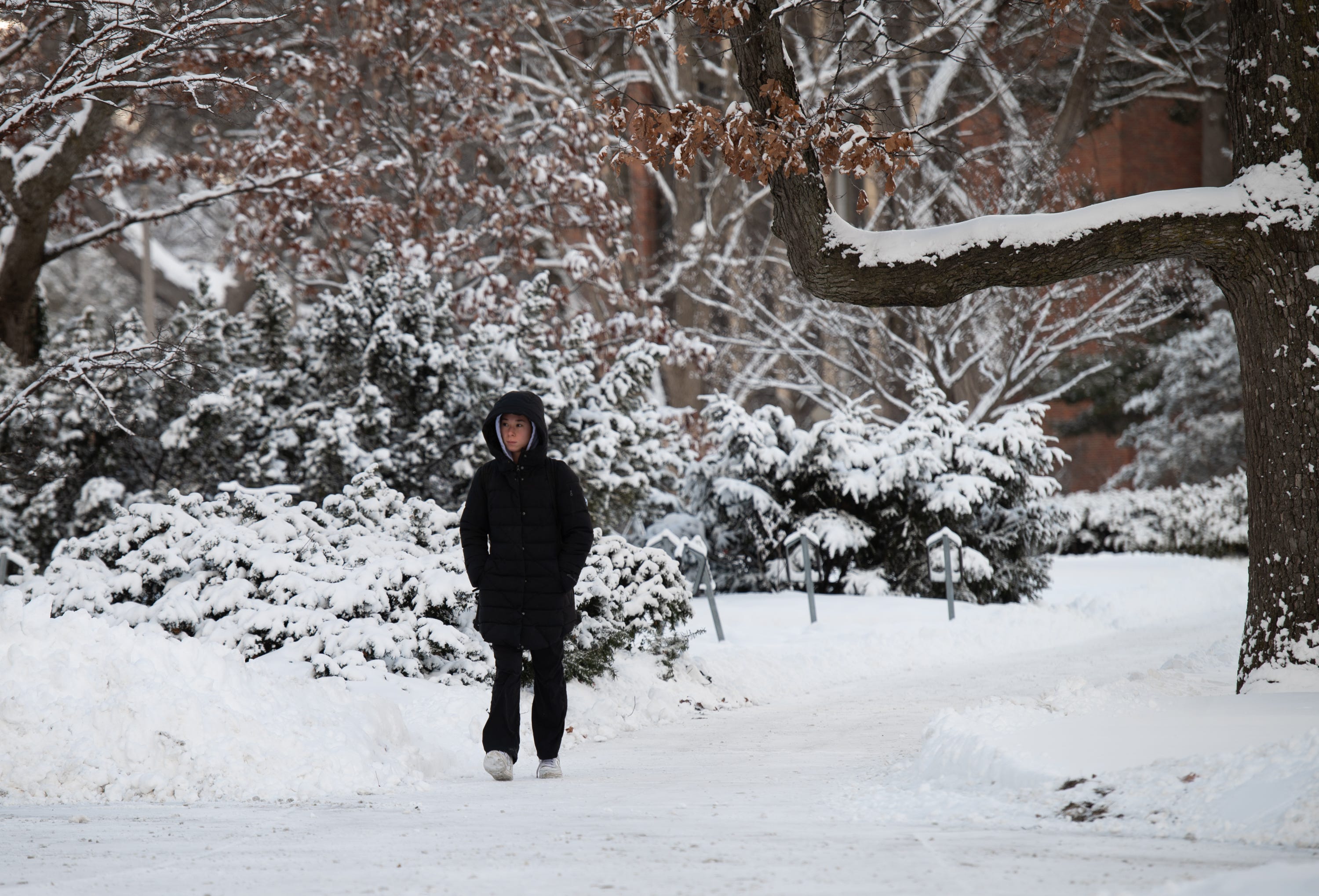Polar vortex to surge Arctic air into Michigan. How cold will temps get?