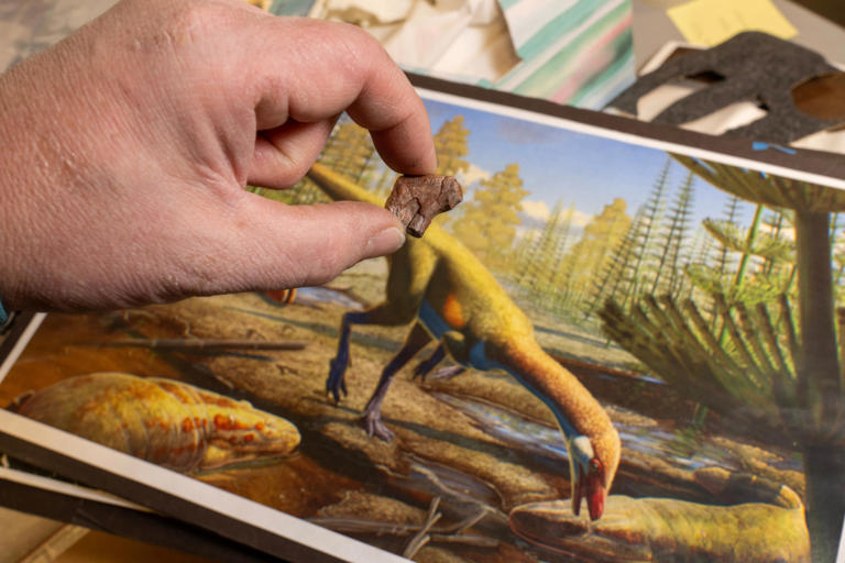 UW-Madison researchers identify oldest dinosaur in northern hemisphere