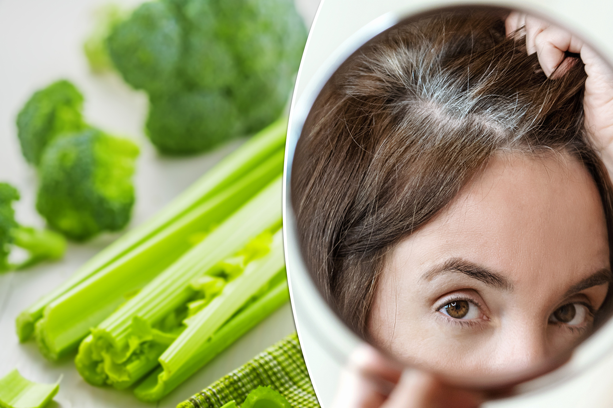A compound found in broccoli and celery may help stop one of the most recognizable signs of aging