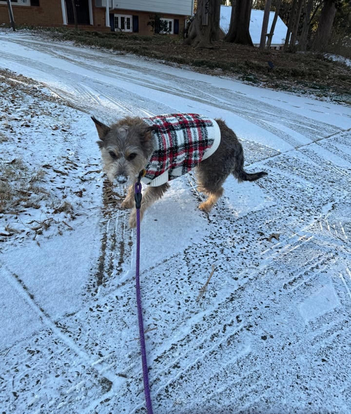 School districts adjust schedules for Thursday as freezing conditions ...