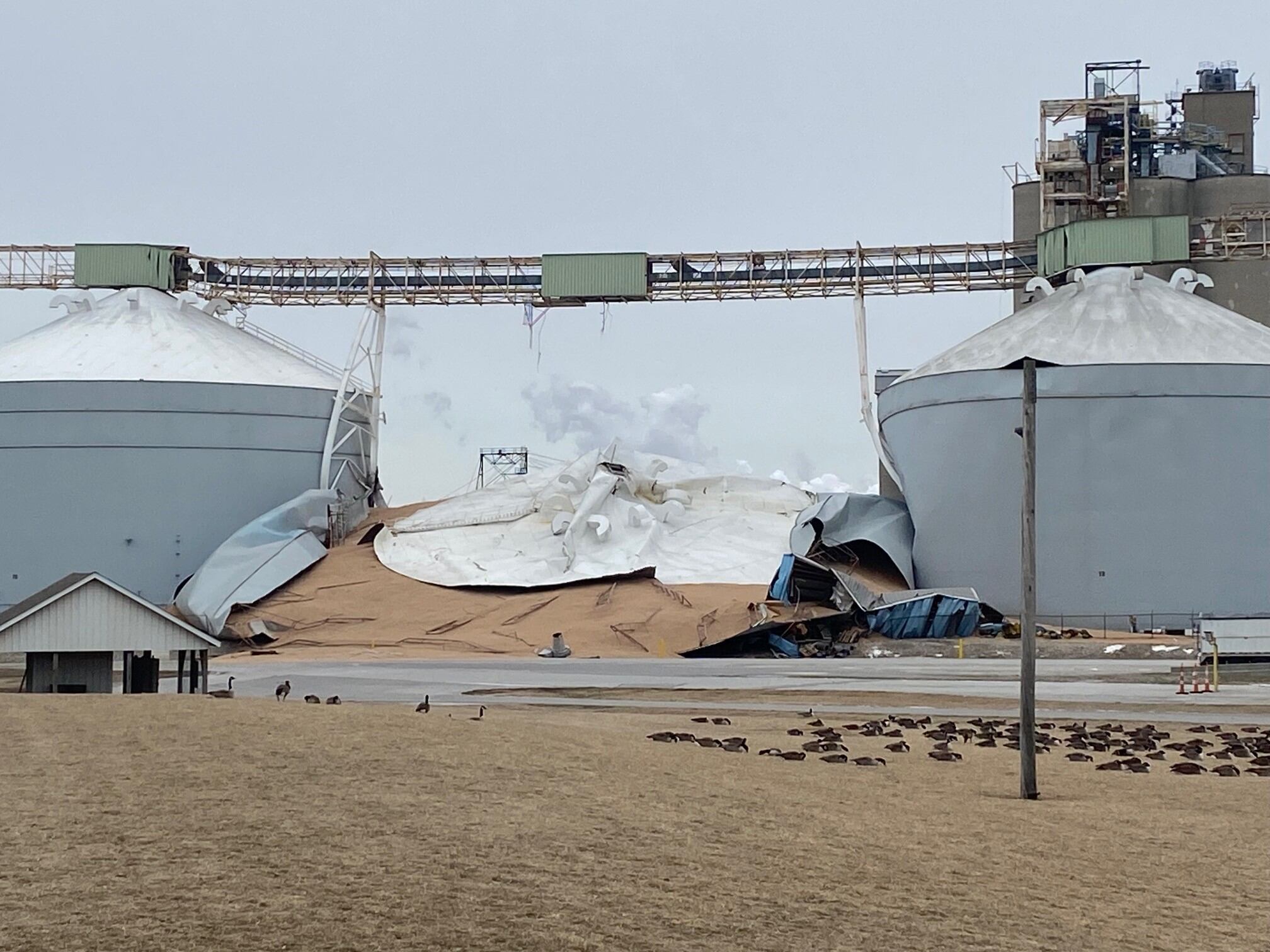 Massive grain bin collapses in Toledo