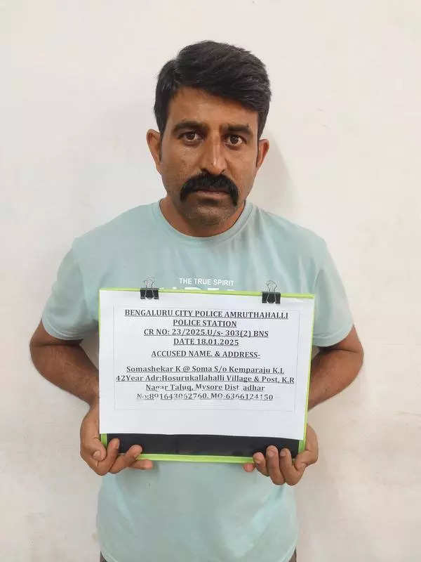 Rustler held, 6 cows recovered