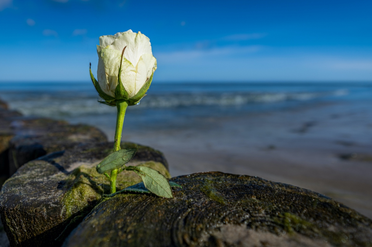 California Legend Dies in Fire: More on Randy ‘The Craw' Miod's Death