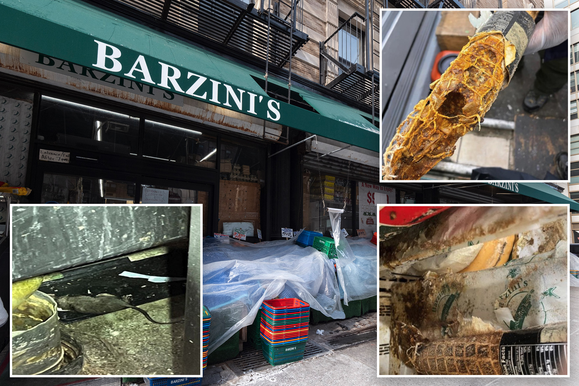 Beloved NYC grocery store defies orders to close after alleged vermin ...