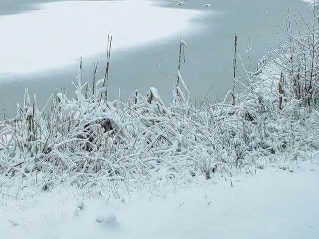 Police ID Woman Found Dead Near Neptune Twp. Retention Pond Police ID Woman Found Dead Near Neptune Twp. Retention Pond