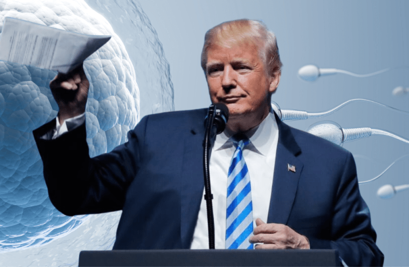 Did Donald Trump define all Americans as females in his executive order? Did Donald Trump define all Americans as females in his executive order?