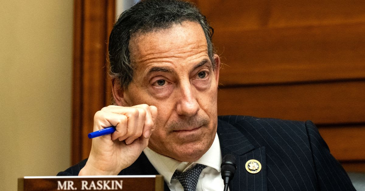 Biden Pardon Recipient Jamie Raskin Puts Forward Truly Unhinged ...