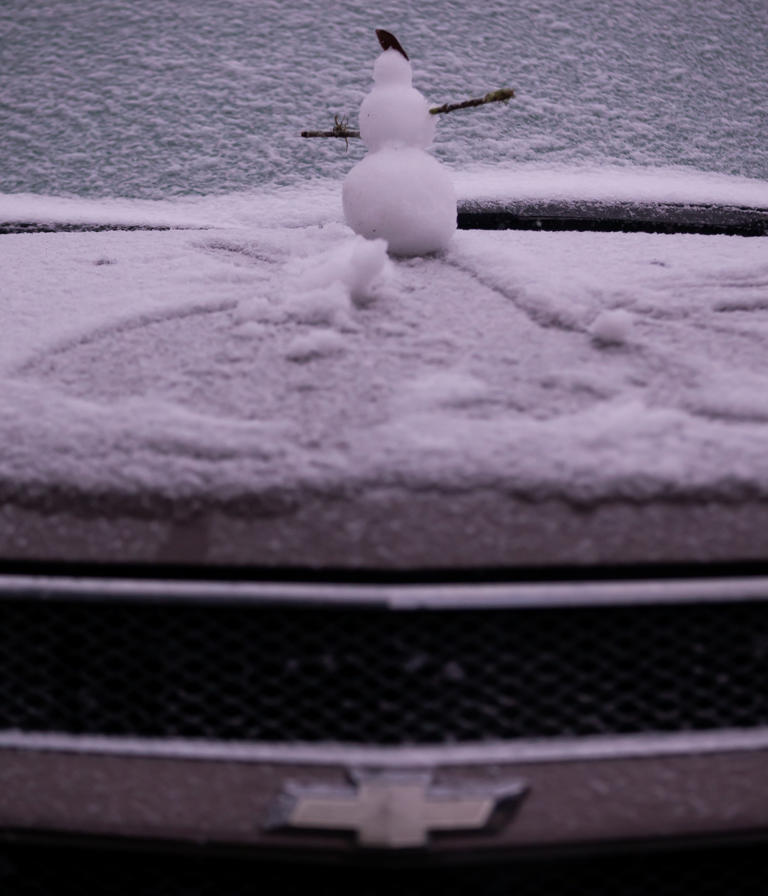 Jacksonville-area schools, government offices, more to reopen Thursday ...