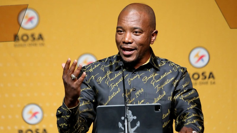 BOSA leader Maimane to brief media on GNU tensions and National ...