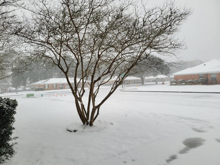 How much snow did the South get? See snowfall totals for Florida ...