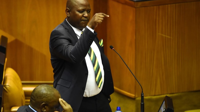 IEC Rejects 'Mandela for President' Party as ANC confirms Boy Mamabolo ...