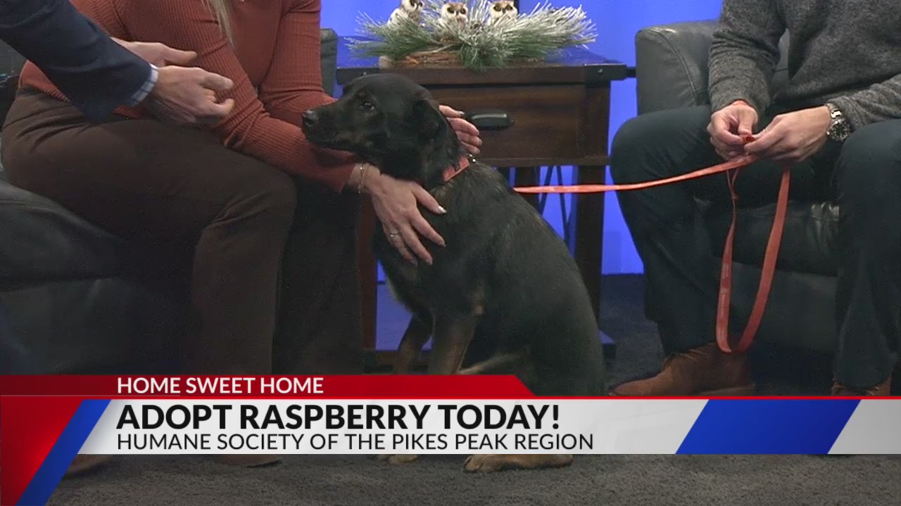 Home Sweet Home: Meet Raspberry