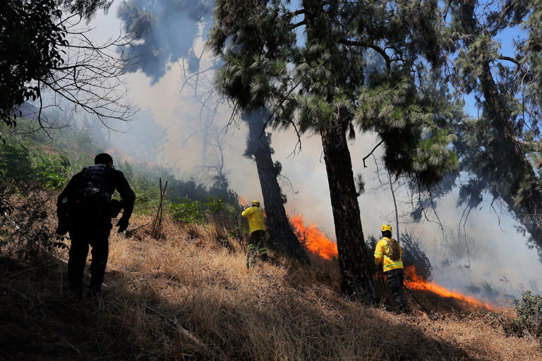 Autoridades reporta que seis incendios forestales se combaten a nivel país