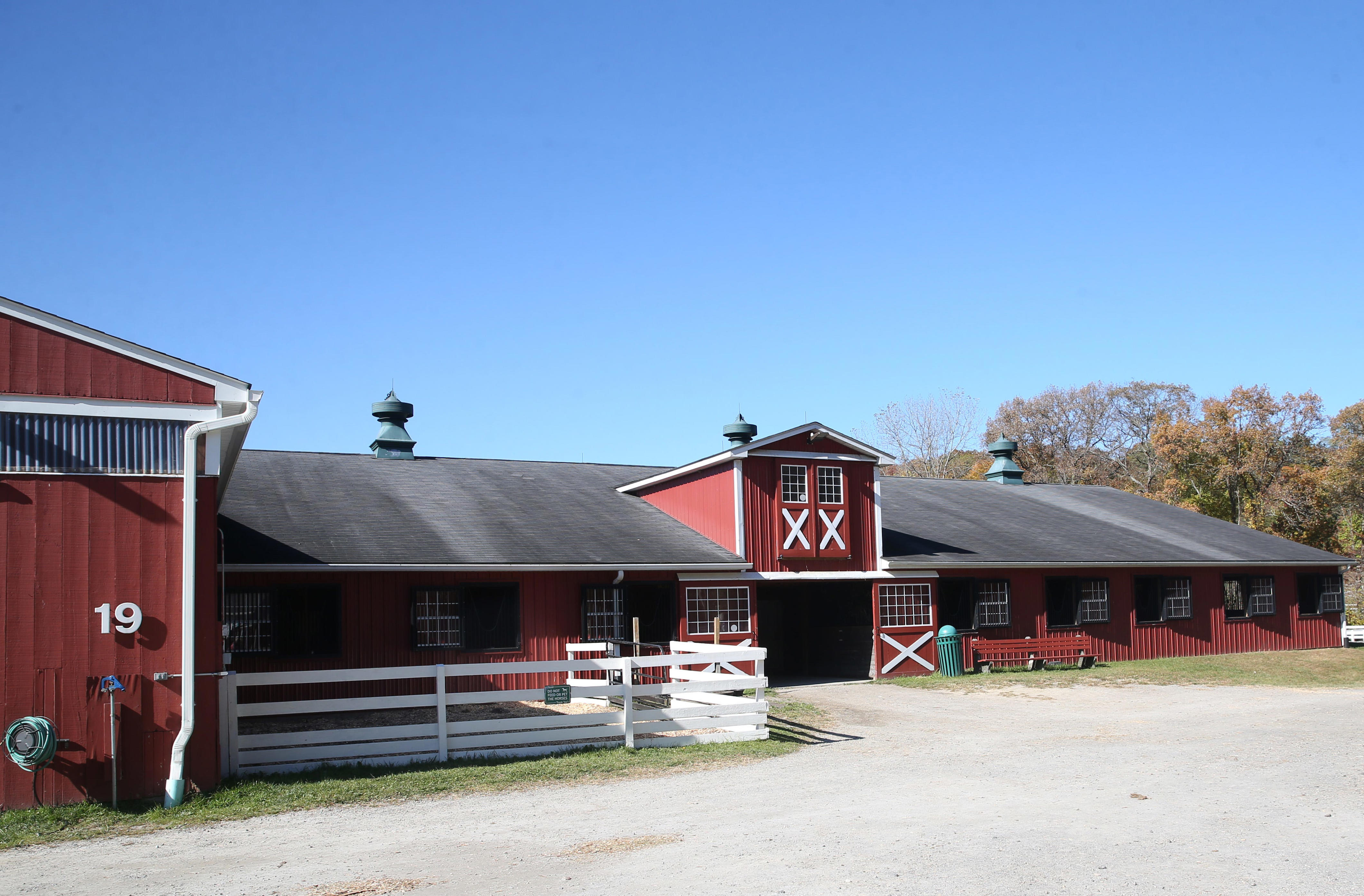 What to know about bird flu after illness found in goose at Green ...