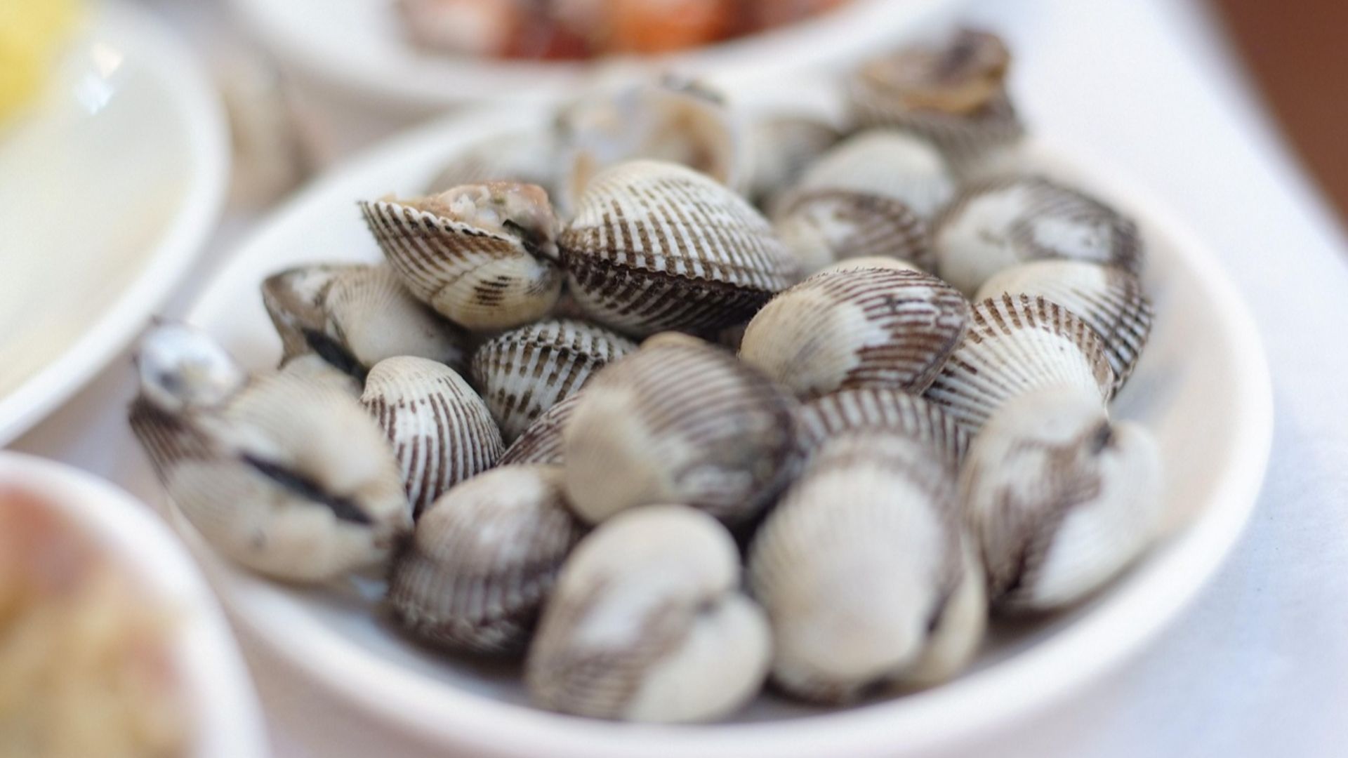 20 Hardest Tongue Twisters to Say in the English Language