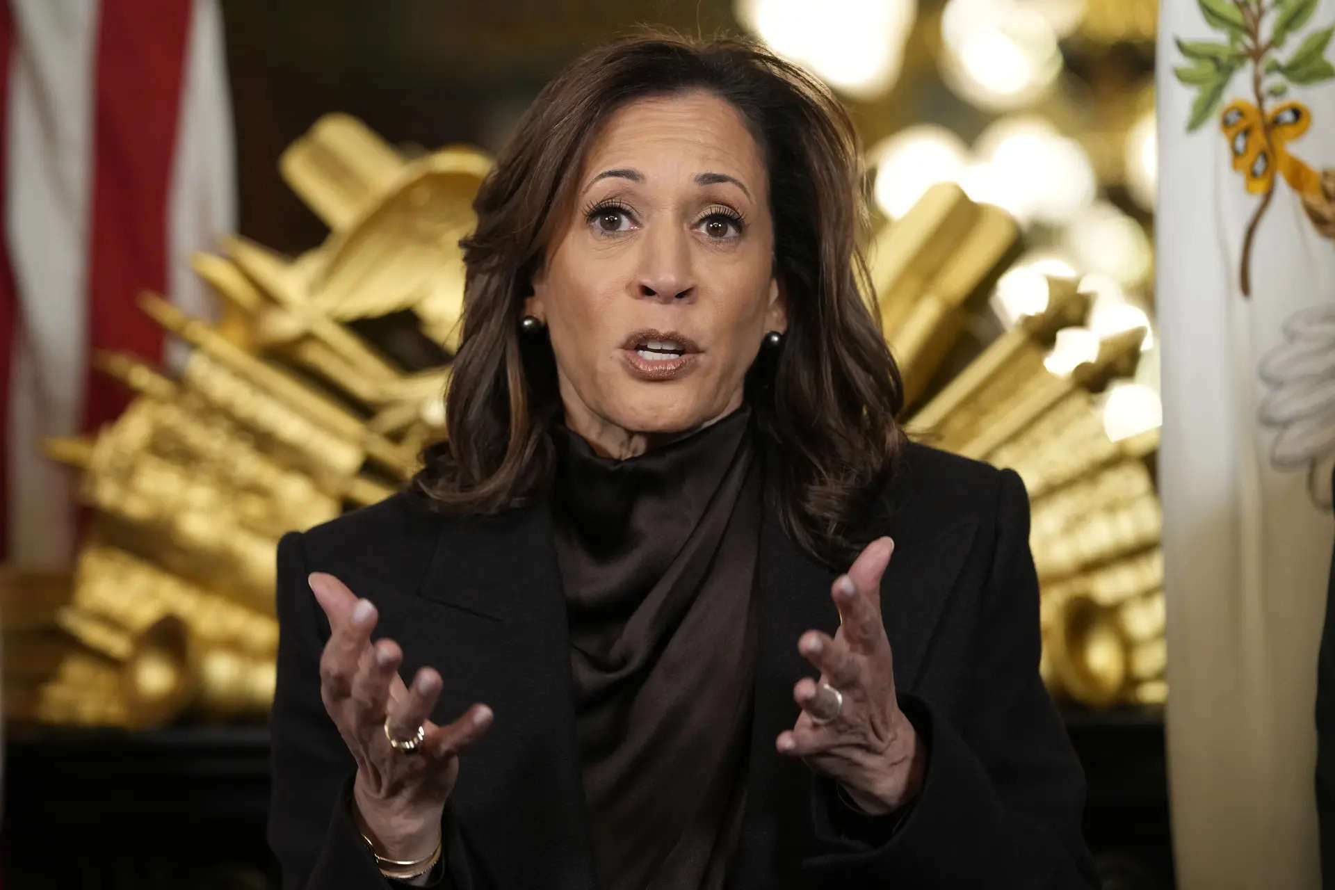 'Unemployed' Kamala Harris back in LA, but her neighbors aren’t thrilled