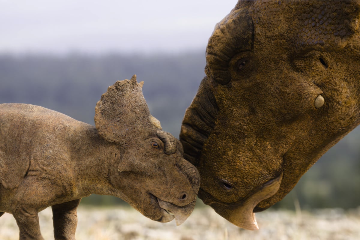 Adult and baby Pachyrhinosaurus in first look at BBC’s Walking With ...
