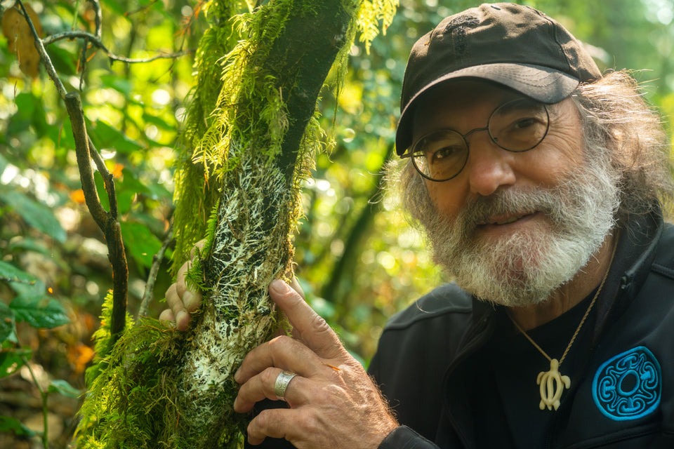 Magic or myth? A mycologist’s guide and review of the best mushroom ...